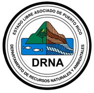 Reforestation project launched in Puerto Rico | TopNews