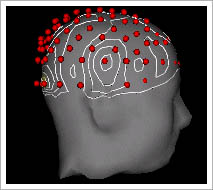 Neural mechanism of learning process unveiled | TopNews