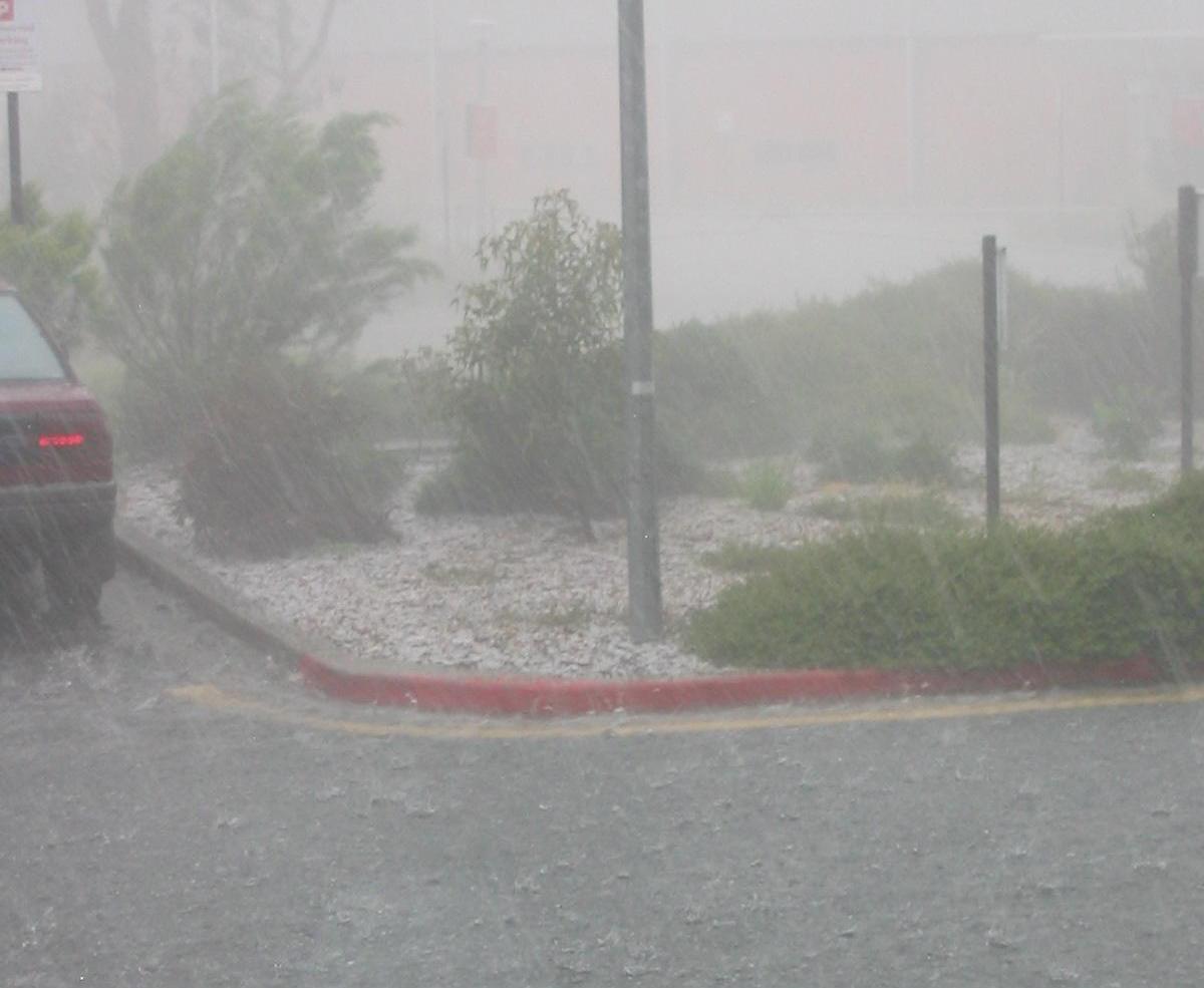 Four days on, Konkan receives heavy rain | TopNews