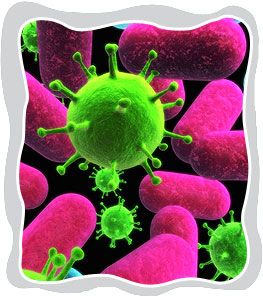 First detailed snaps of deadly gastrointestinal virus may help improve ...